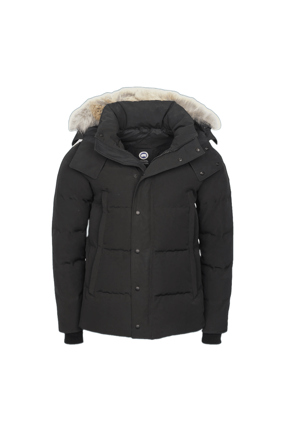 Products – Page 6 – REPZWRLD🌎